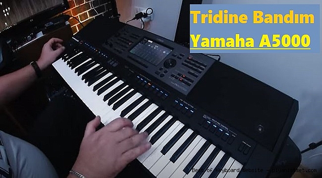 Tridine Bandım - Yamaha A5000 - SERBEST - FREE AREA - Piyanistset.com